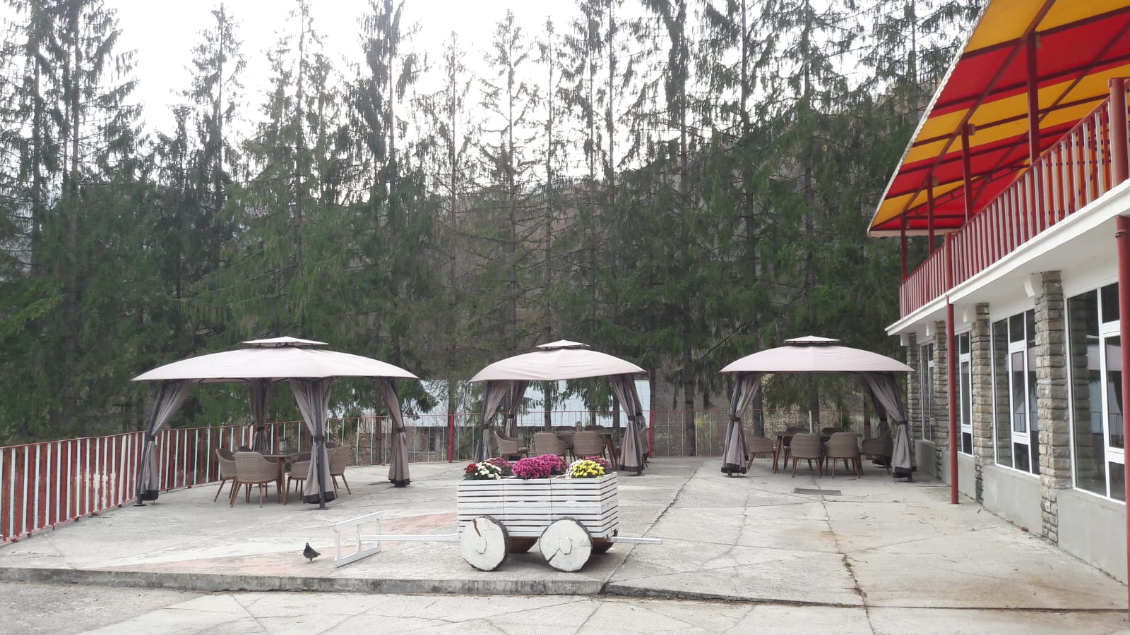 Tabara Caprioara * – Carpatmontana Serv
